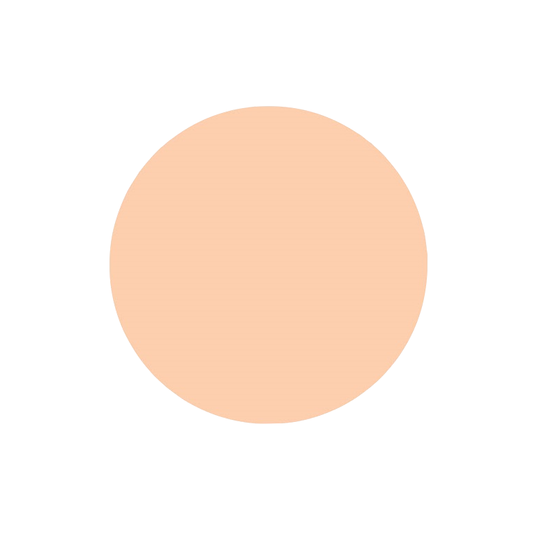 C6 Skin Camouflage Pigment für helle Hauttöne günstig kaufen | DERMIDA